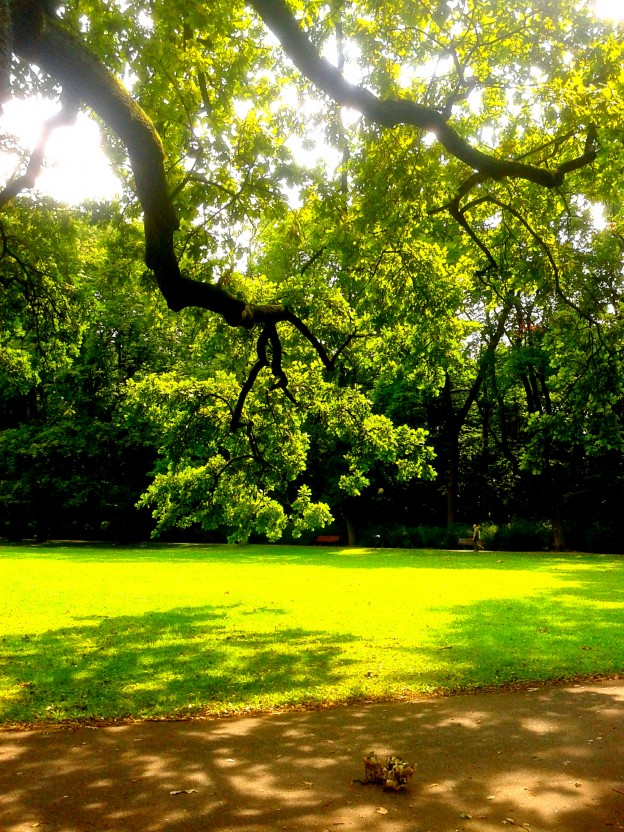 Park beauty view – Piqam.com